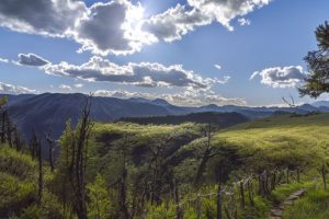 7 Best Hiking Trails Near Cologne, Germany [September 2024]